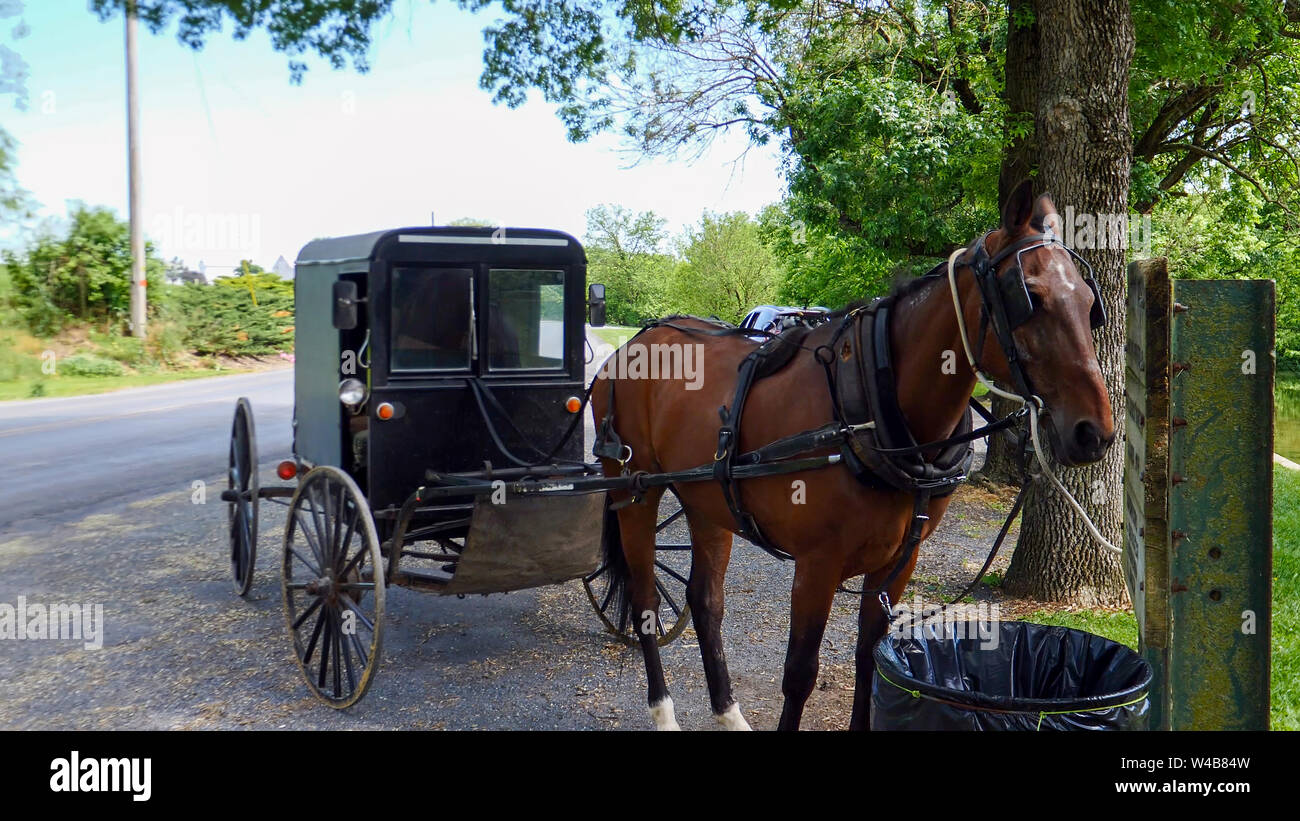 Amish horse buggy tied hi-res stock photography and images - Alamy