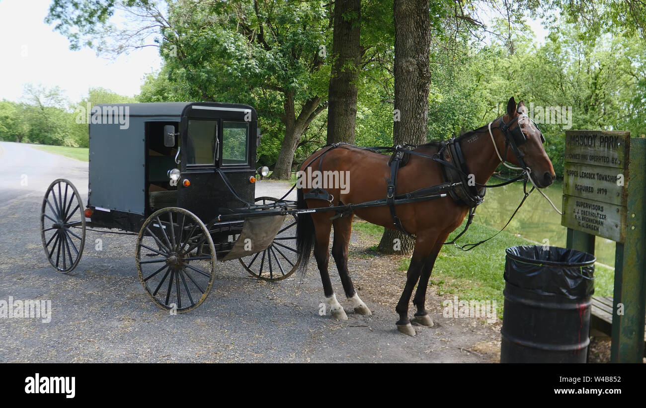 Amish horse buggy tied hi-res stock photography and images - Alamy