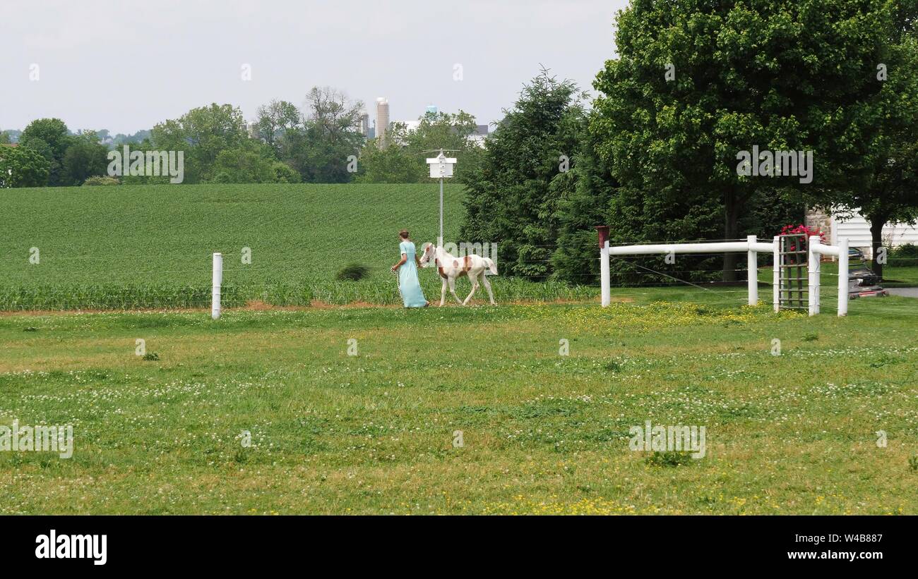 Amish girl hi-res stock photography and images - Alamy