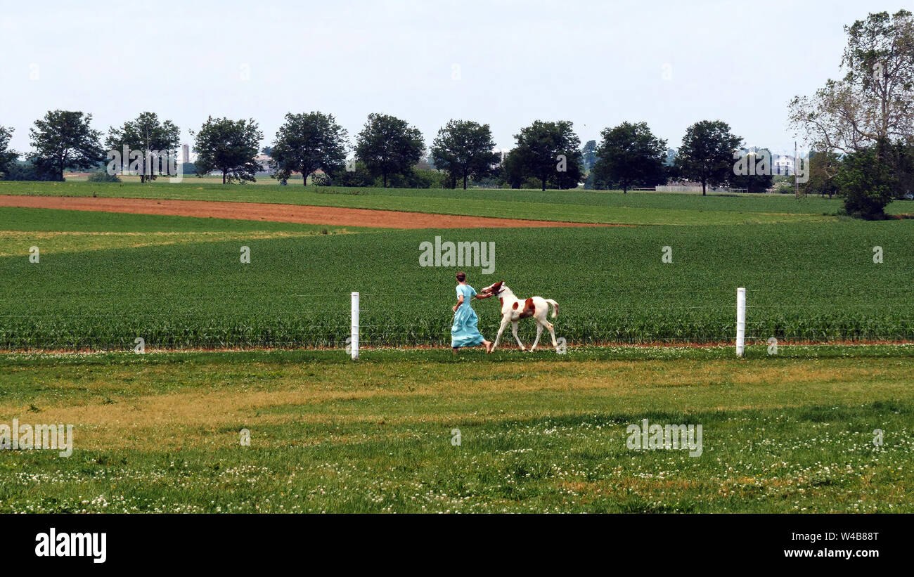 Amish girl hi-res stock photography and images - Alamy
