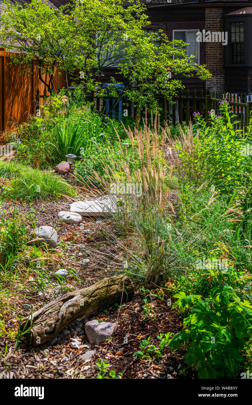 Native plant garden in the Rogers Park neighborhood Stock Photo - Alamy