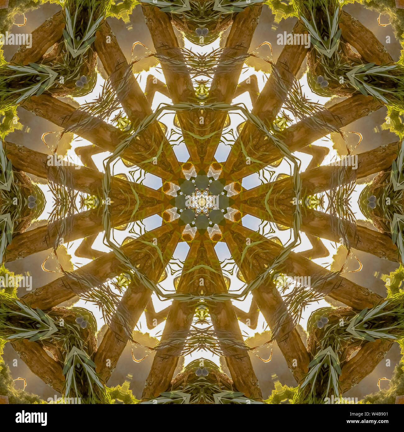 Wild angular shapes of a flower arrangement showing only leaves and ...