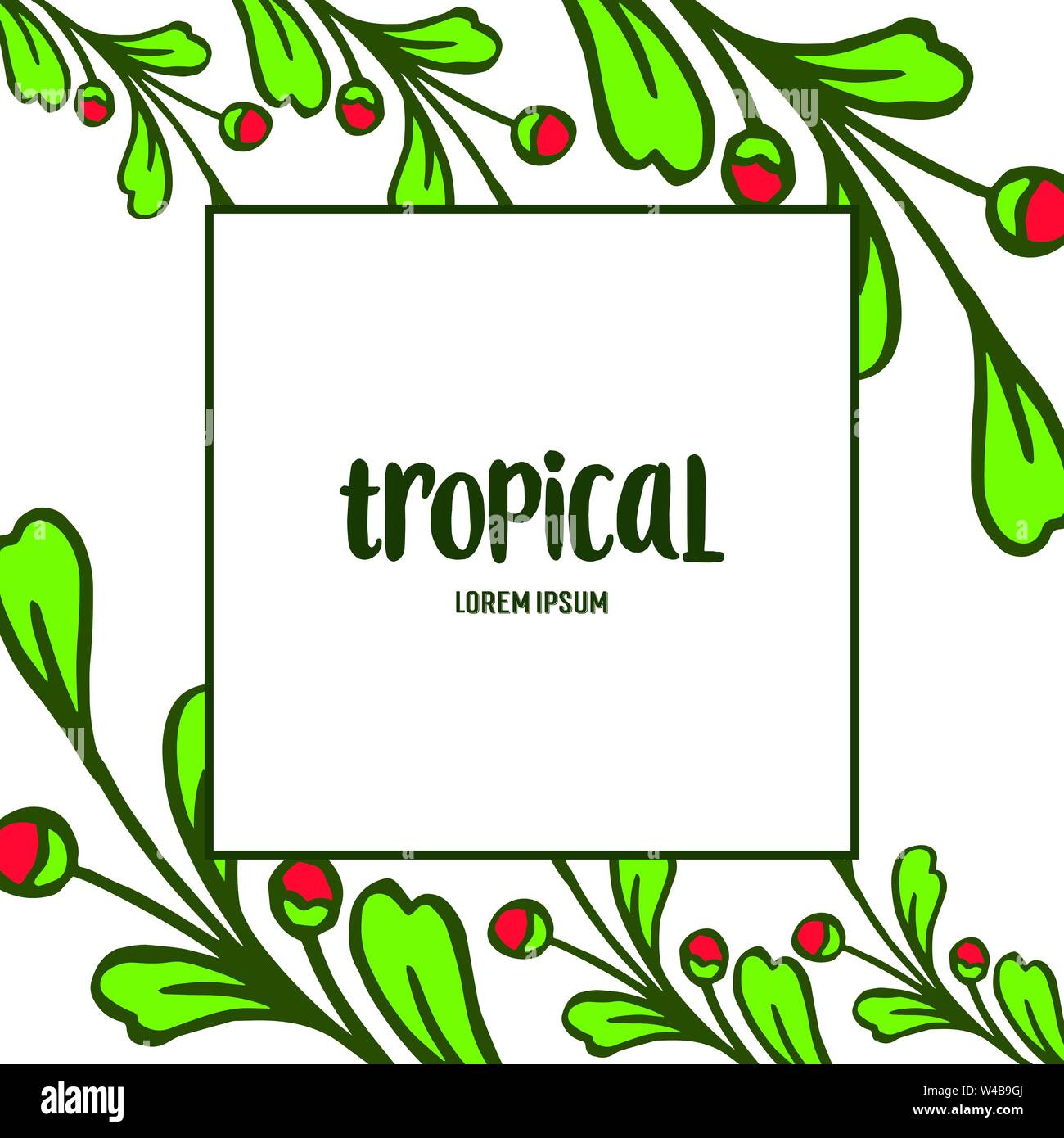 Design card tropical with leaves and flower frame, white background ...