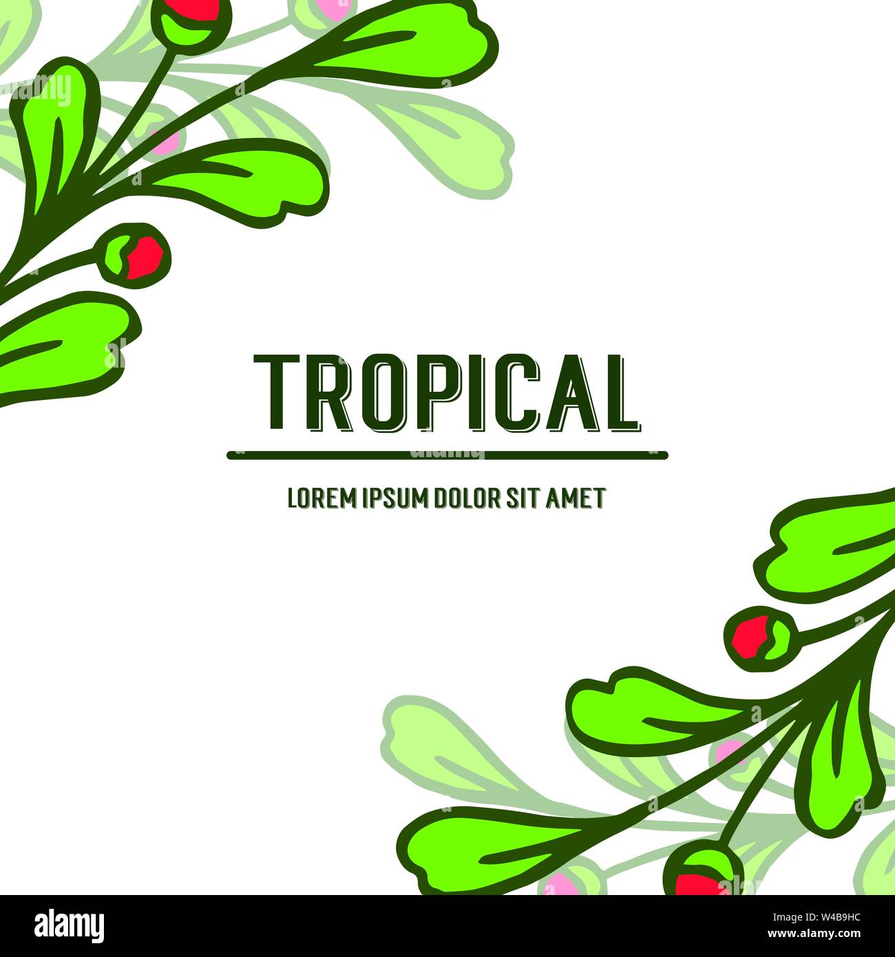 Design card tropical with leaves and flower frame, white background ...