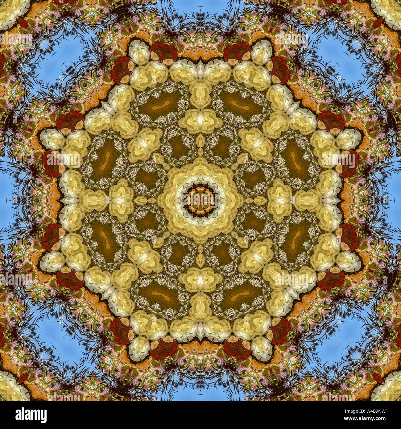 Abstract angular field of flowers in circular arrangement at wedding in ...