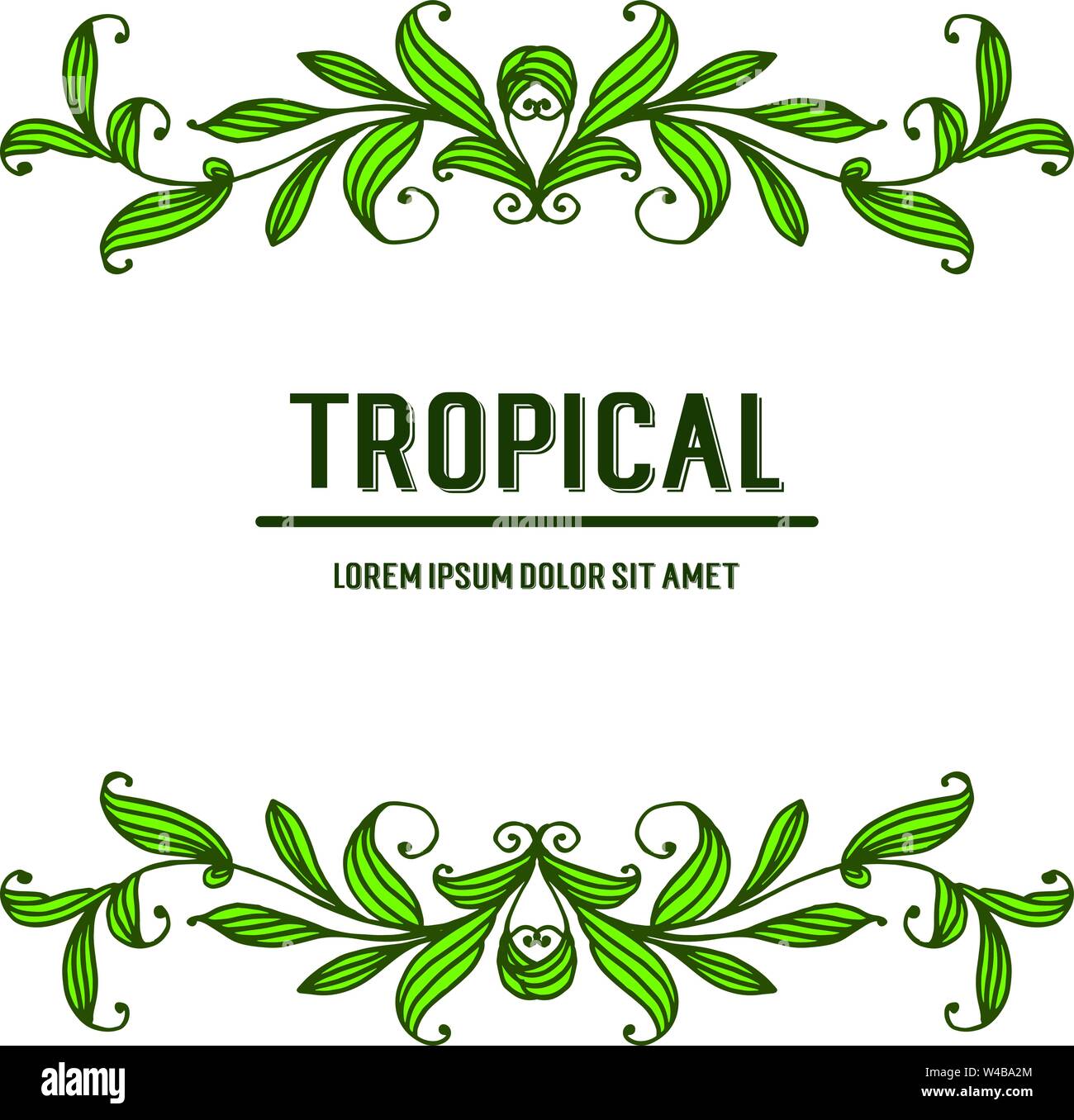 Beautiful background with frame green leaves, letter tropical. vector ...