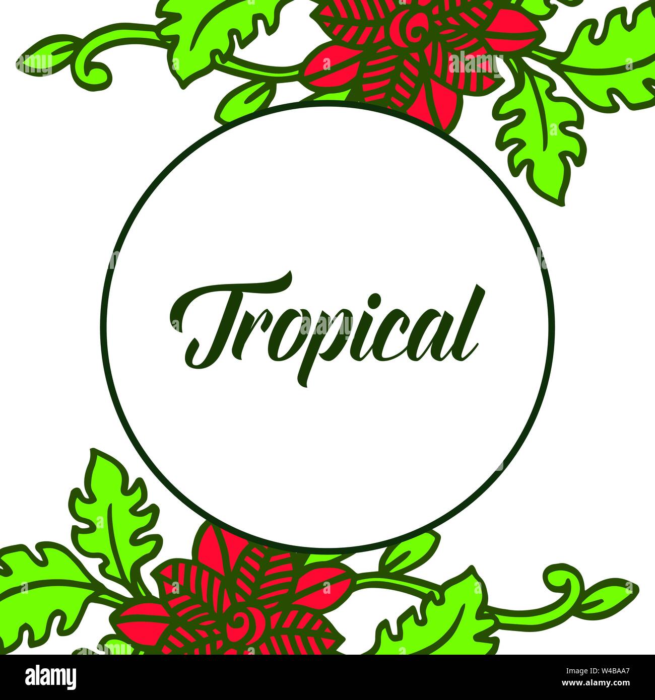 Tropical with beautiful leaf floral frames blossom. Vector illustration ...