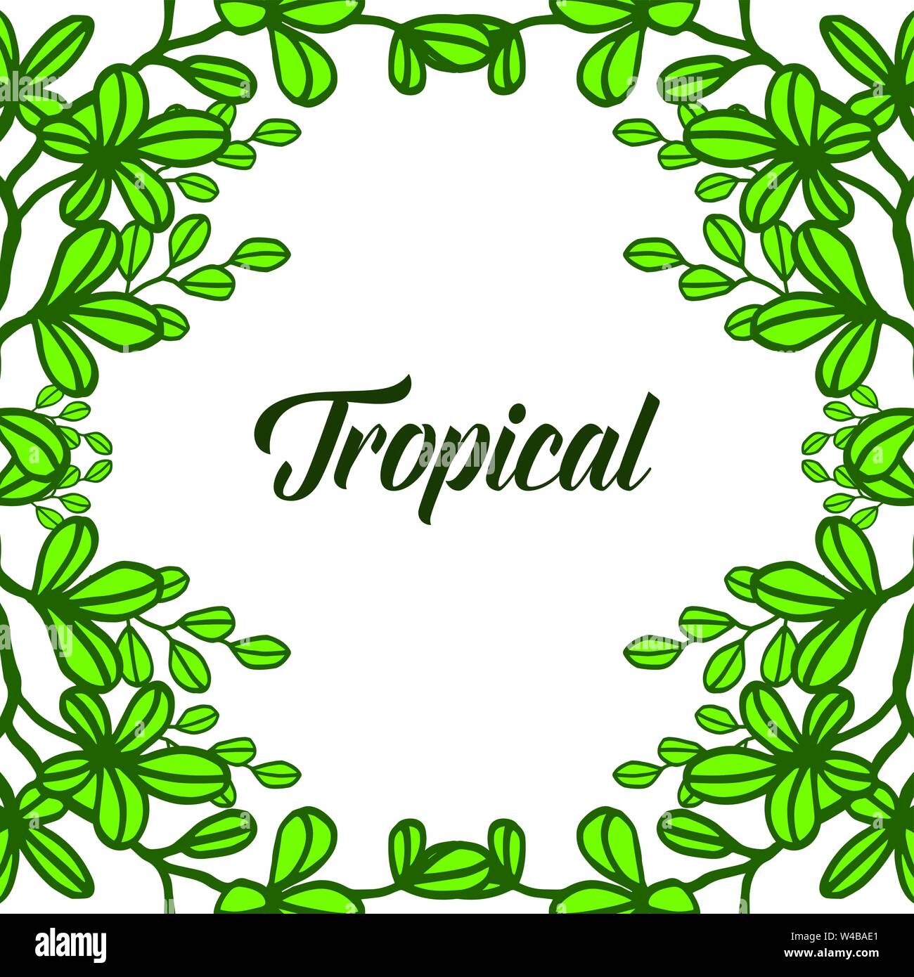 Modern card tropical, design green leafy floral frame. Vector ...