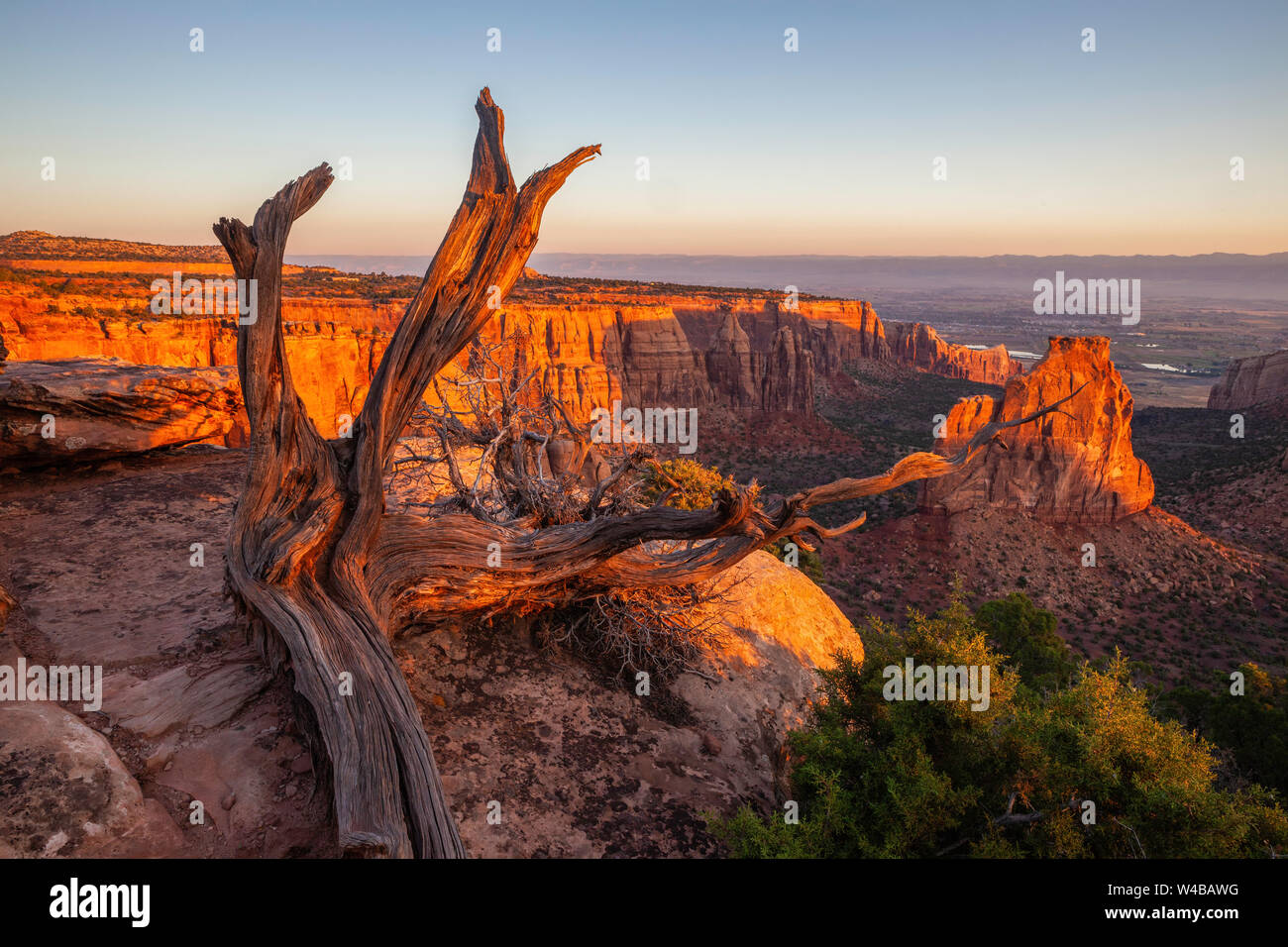 Gold butte desert hi-res stock photography and images - Alamy