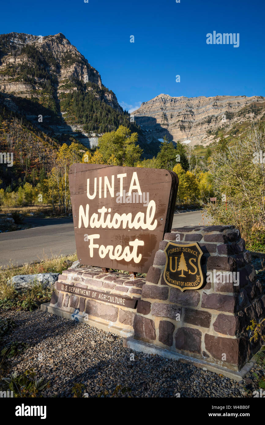 Uinta national forest hi-res stock photography and images - Alamy