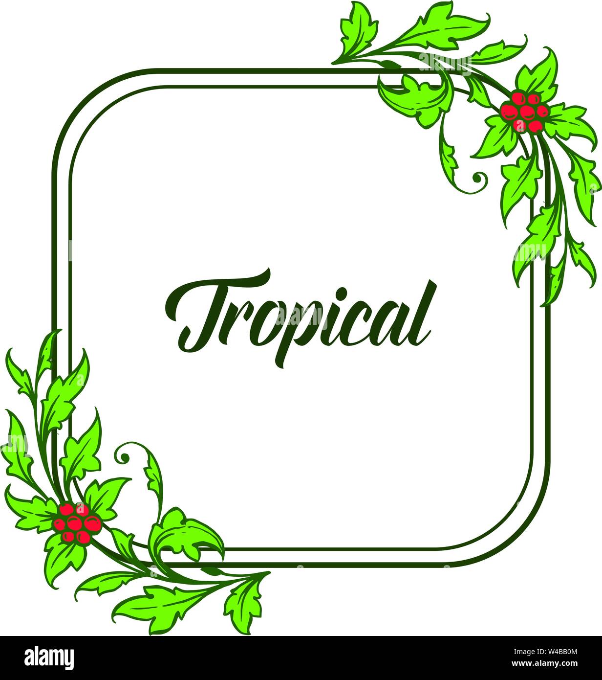 Tropical palm leaves and flower frame, isolated on white background ...