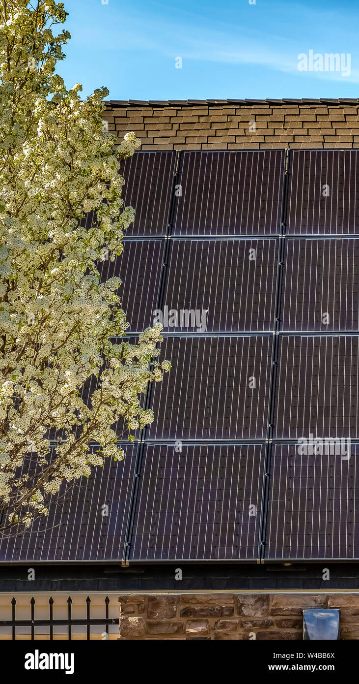 Vertical tall frame Solar panel on the dark pitched roof of a house ...