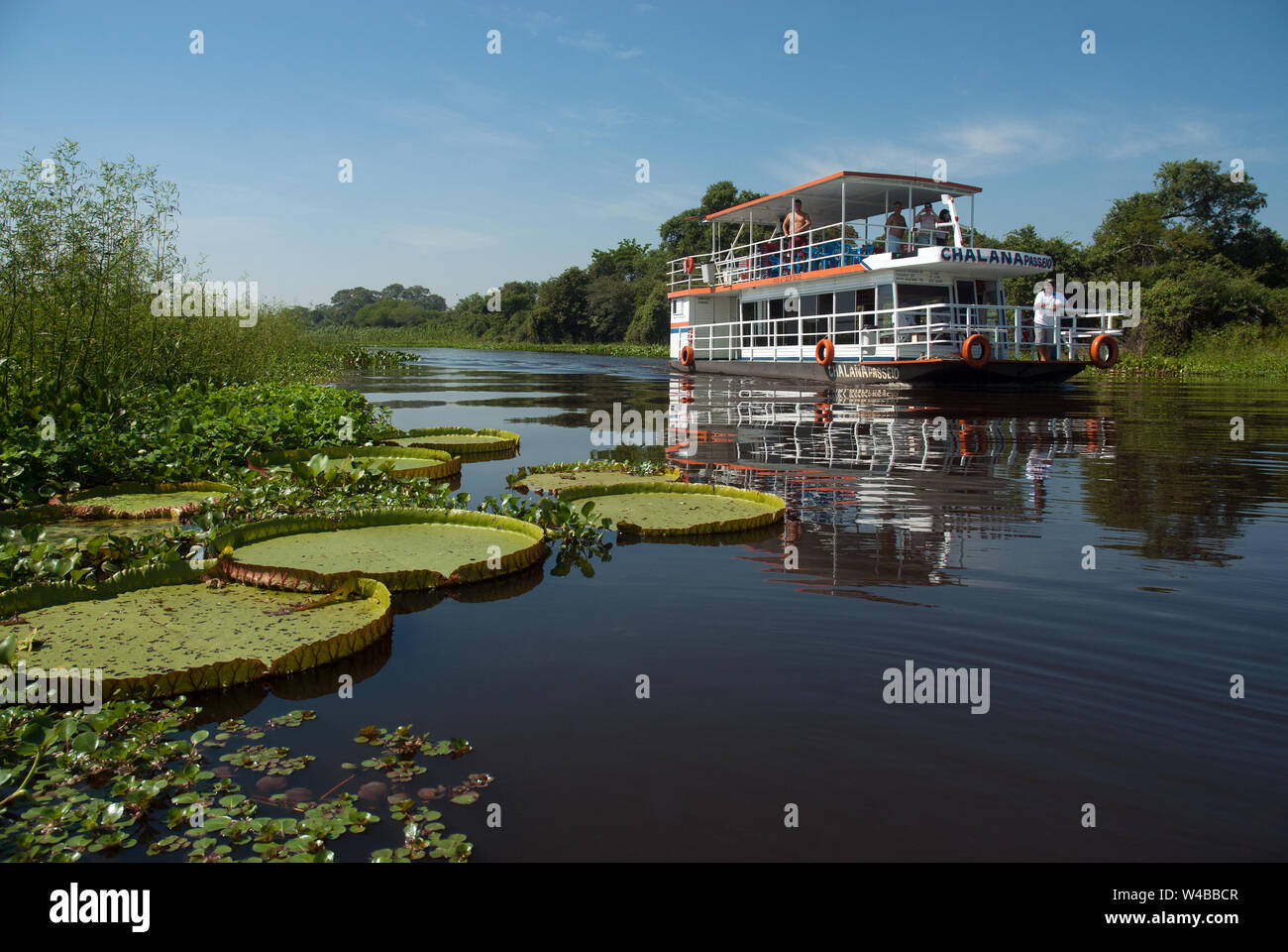 Paraguai river hi-res stock photography and images - Alamy