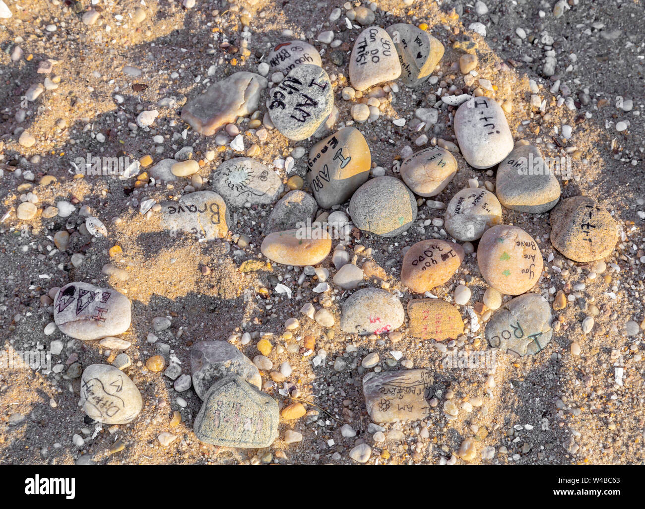 Beach pebbles rocks shells hi-res stock photography and images - Alamy
