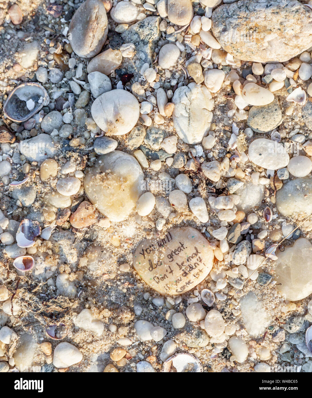 Beach pebbles rocks shells hi-res stock photography and images - Alamy