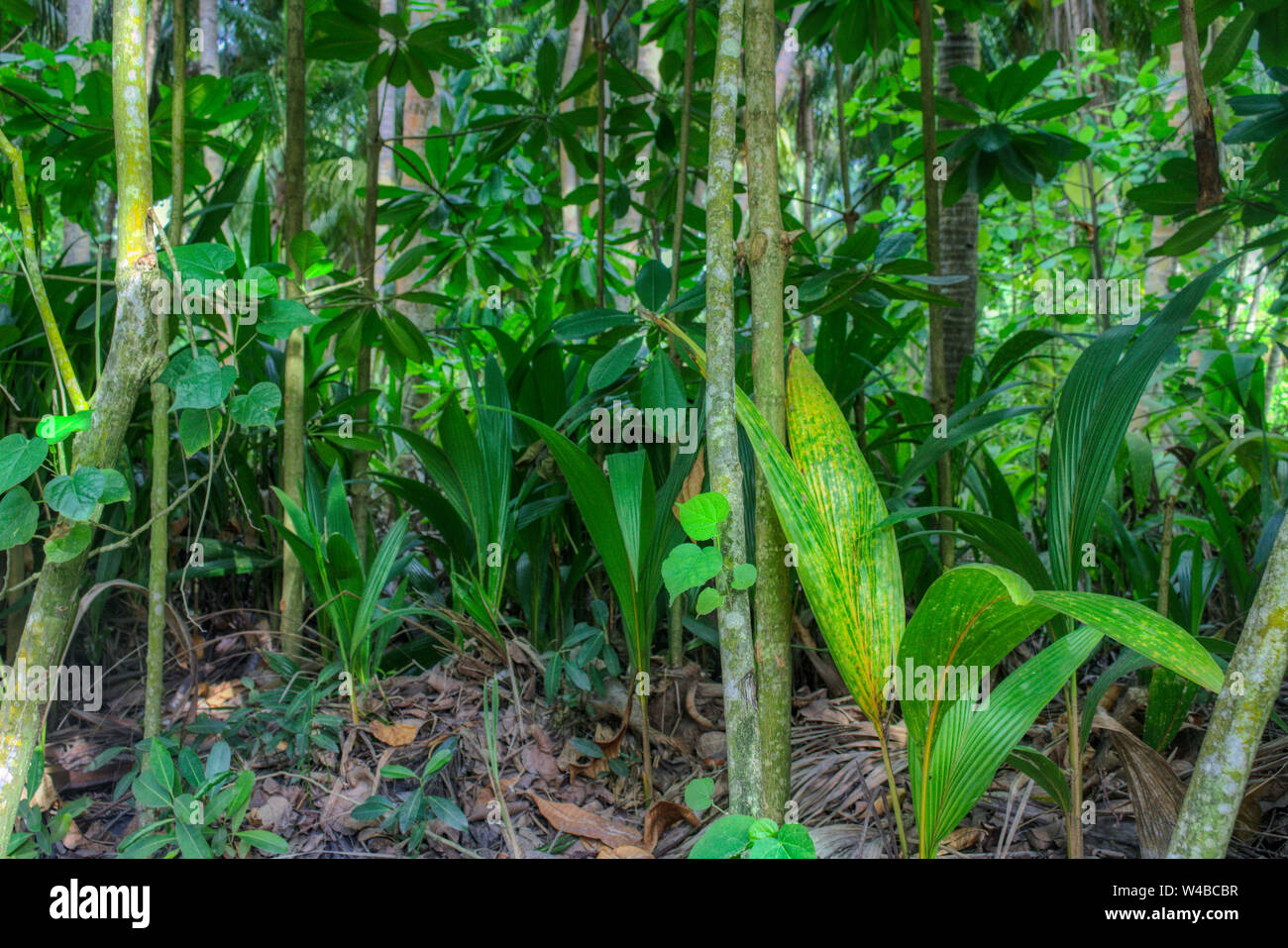 This unique photo shows the natural island texture with breathtaking ...