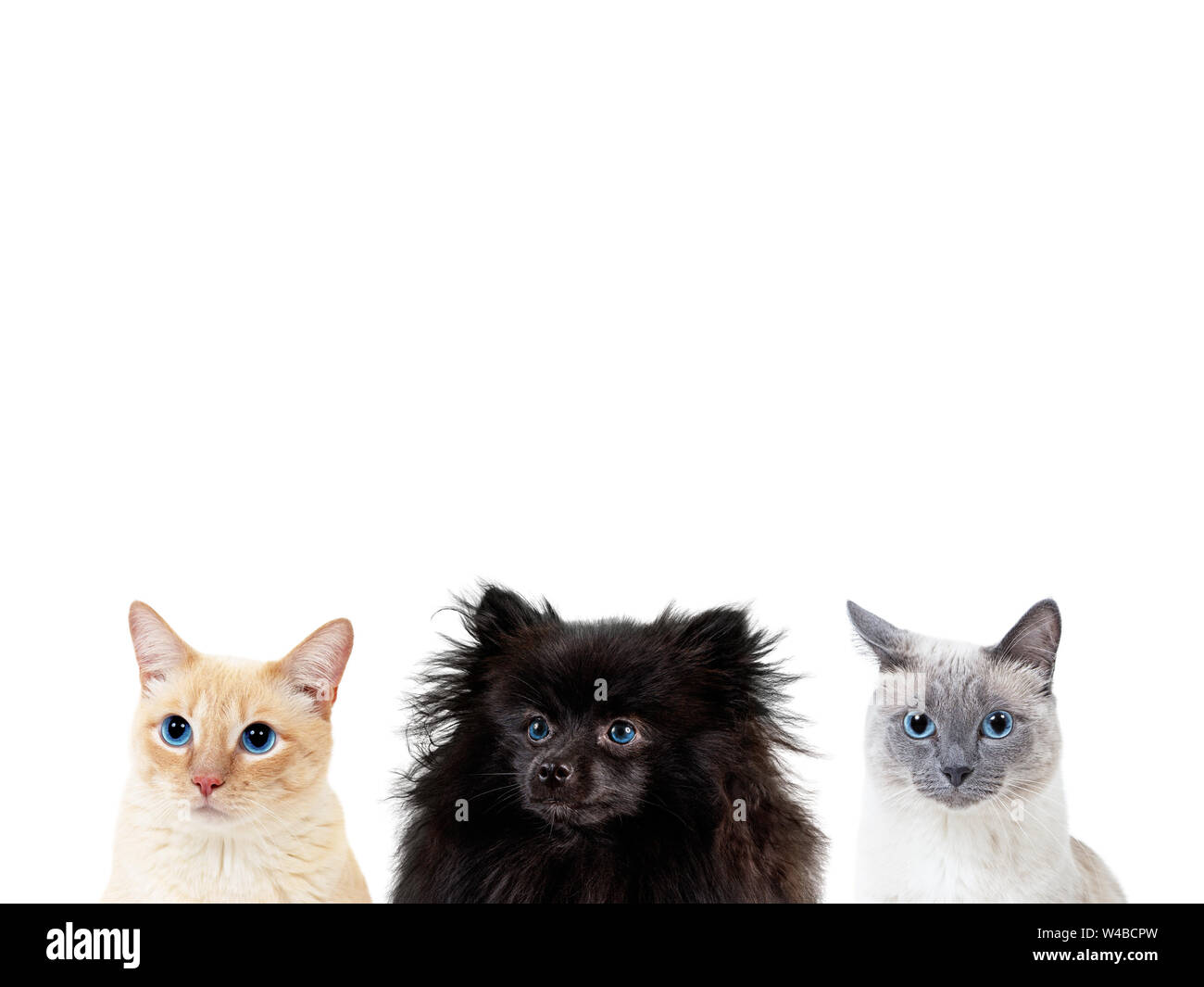 Over heads hi-res stock photography and images - Alamy