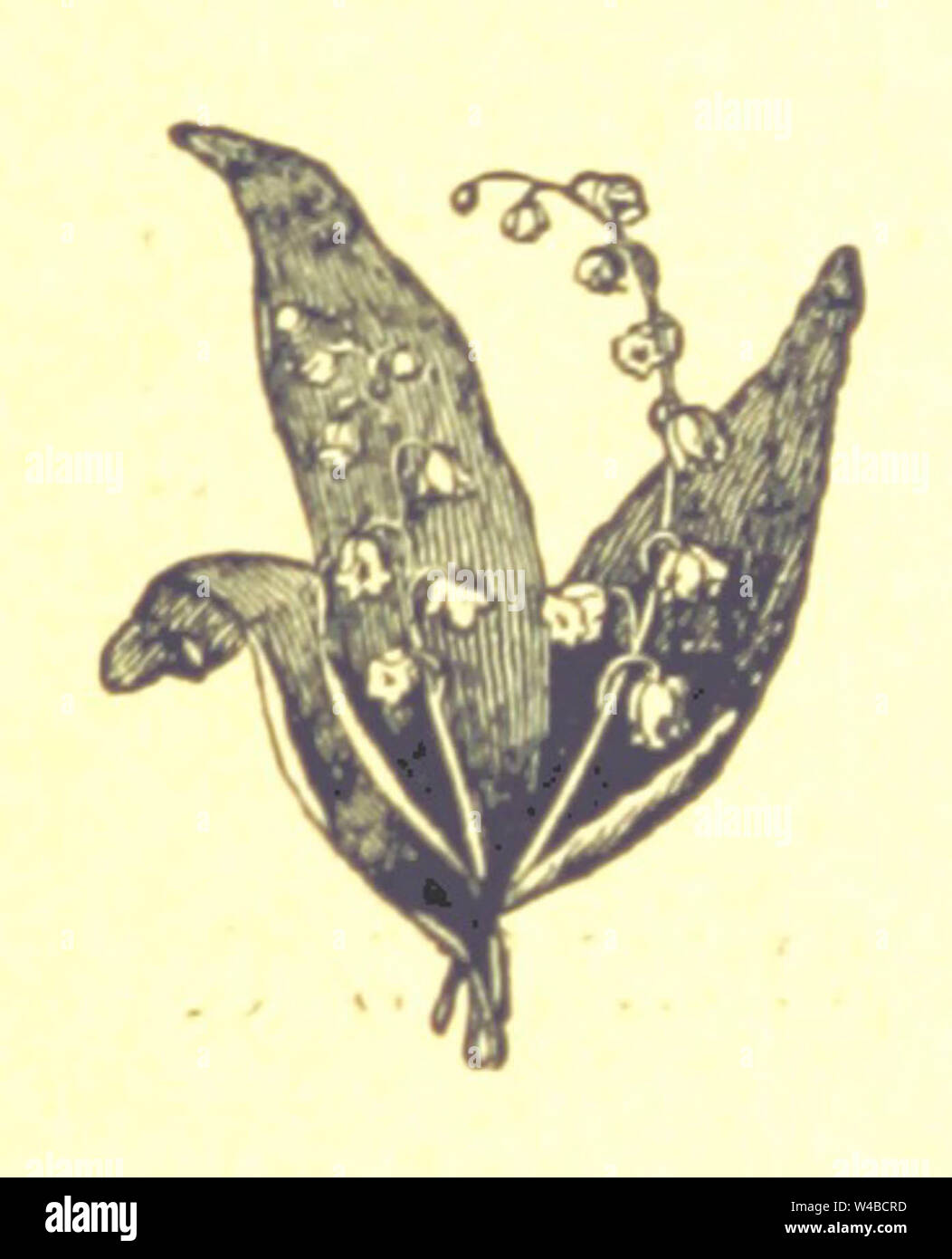 A Balkan Felsziget Stock Photo - Alamy