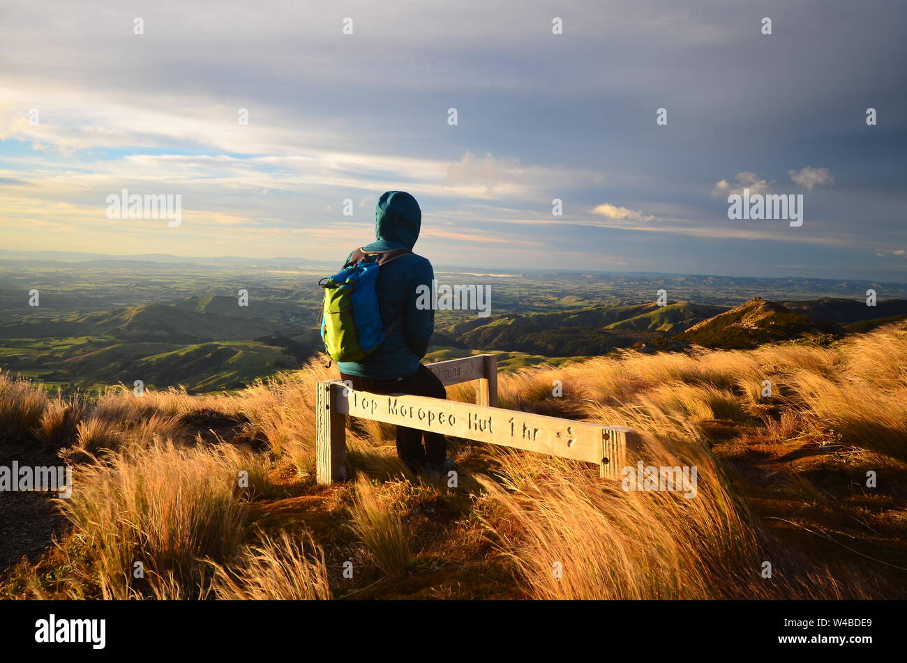 Sunrise Hut track, New Zealand Stock Photo - Alamy