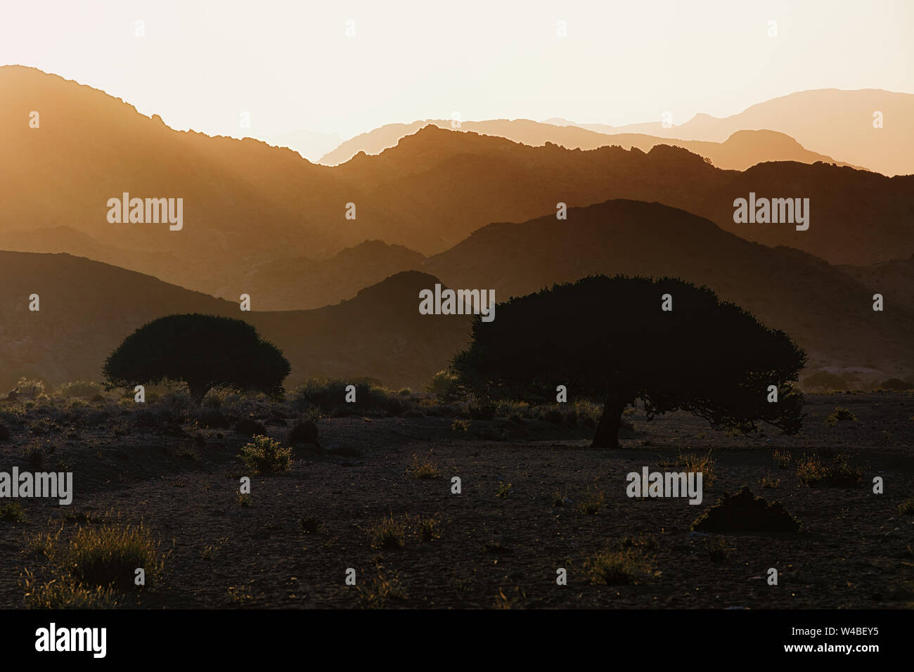 Alpine Desert at sunset in Northern South Africa Stock Photo - Alamy