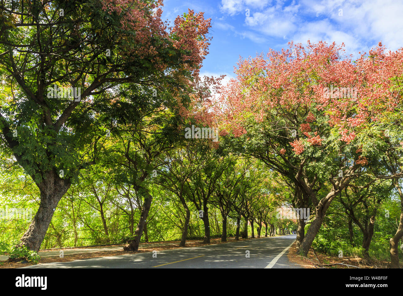 Luan shu green subway hi-res stock photography and images - Alamy