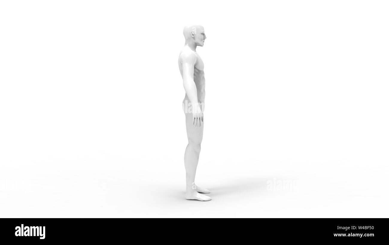 3d rendering of a standing male cad model person isolated in white ...