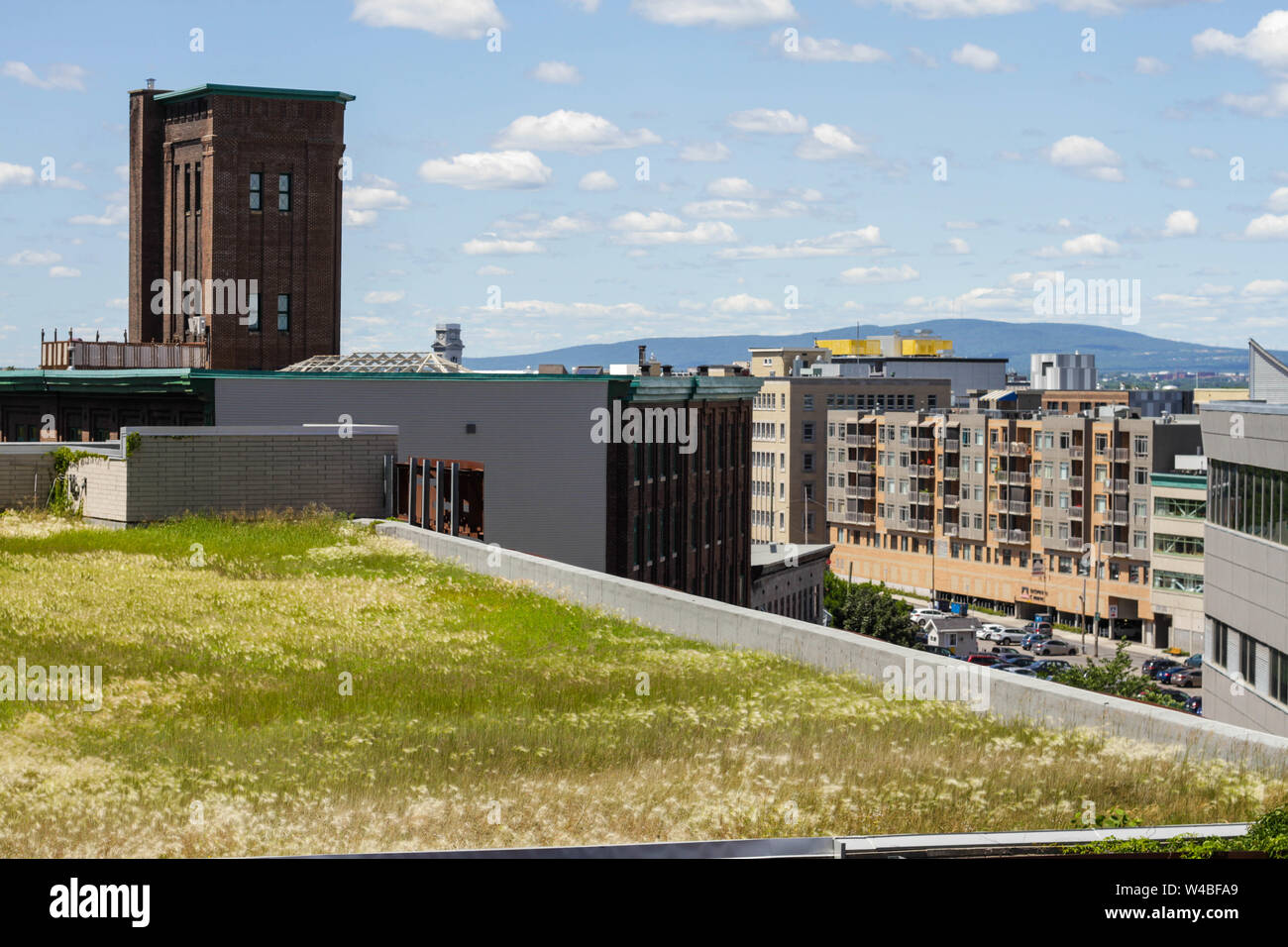 Solar punk hi-res stock photography and images - Alamy