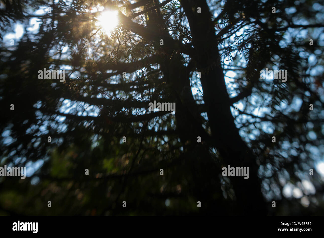 Solar filters hi-res stock photography and images - Alamy