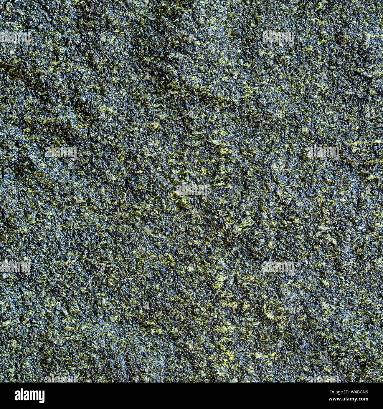 Sheet of crispy grilled classic flavor seaweed on background, texture ...