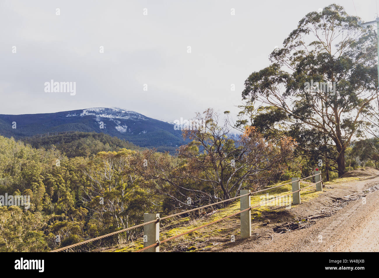 Australian countryside landscape in winter, the bush of Tasmania in the ...
