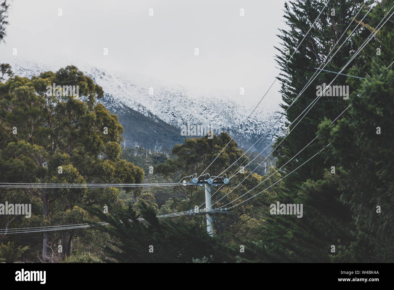 Australian countryside landscape in winter, the bush of Tasmania in the ...