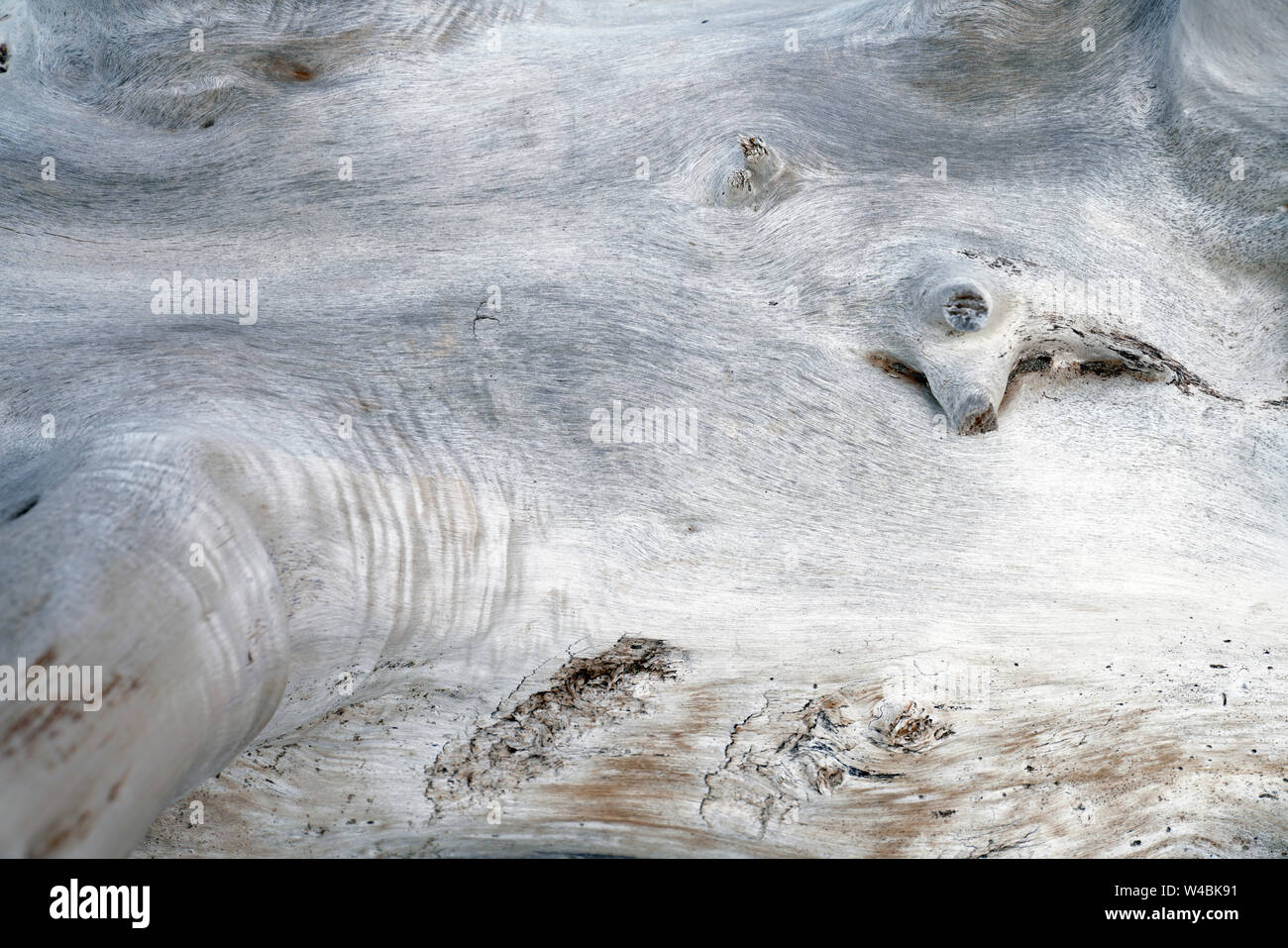 Detail of washed wood Stock Photo - Alamy