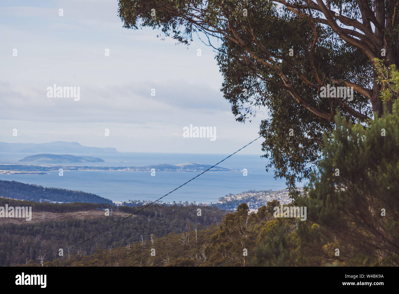 Australian countryside landscape in winter, the bush of Tasmania in the ...