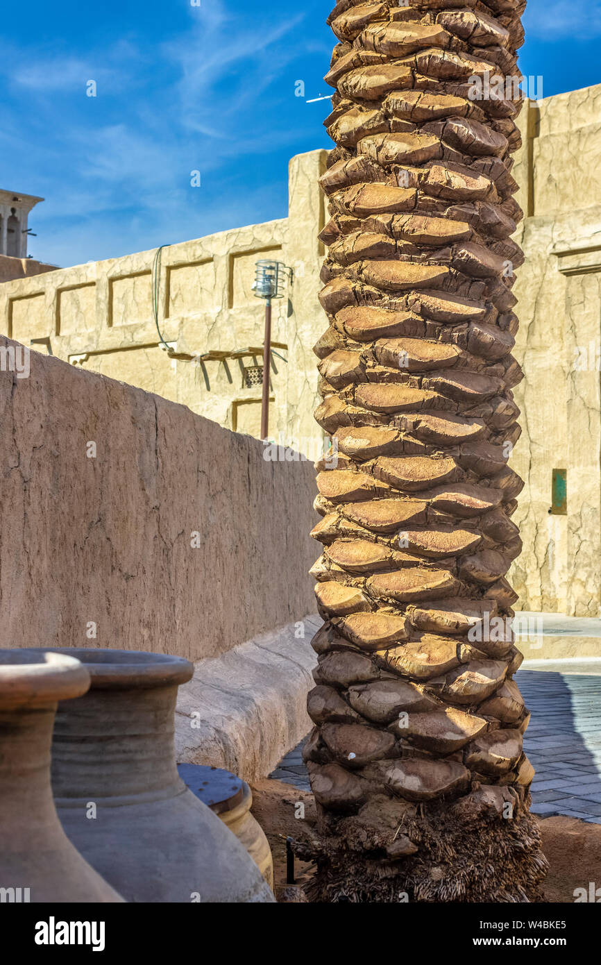 Spiral palm tree hi-res stock photography and images - Alamy