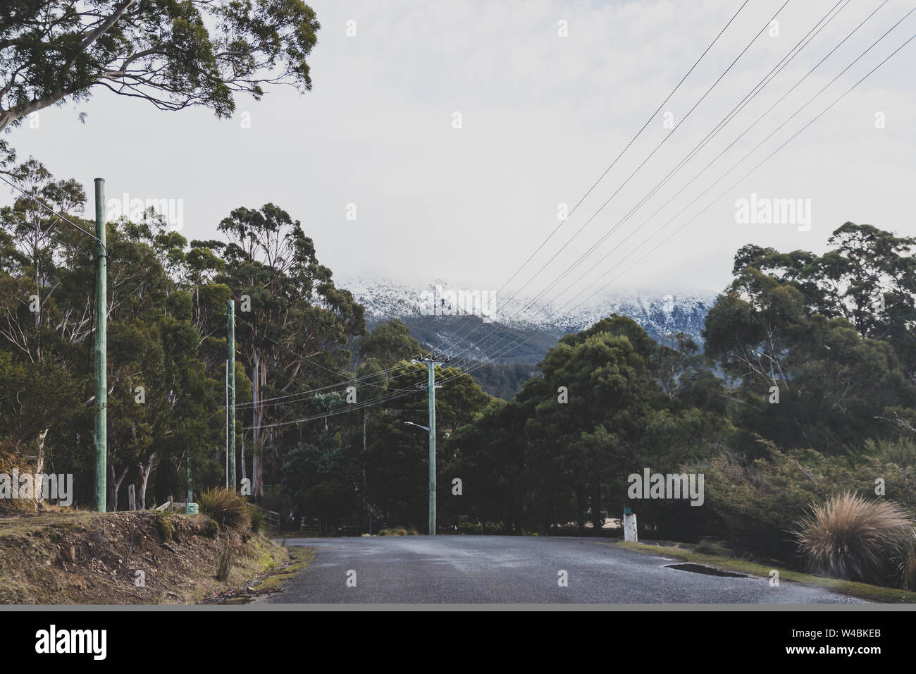 Australian countryside landscape in winter, the bush of Tasmania in the ...