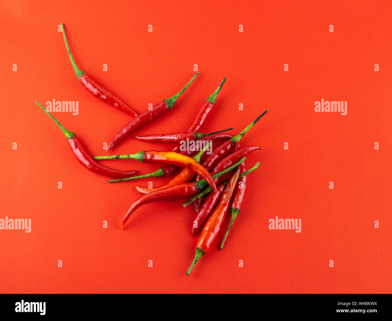 Realistic red hot chili pepper hi-res stock photography and images - Alamy