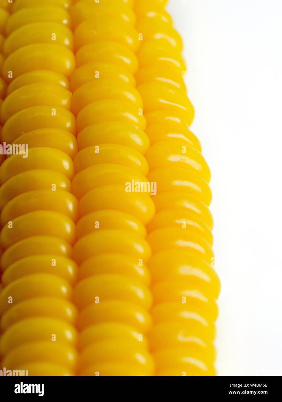 Cooked corn on white background Stock Photo - Alamy