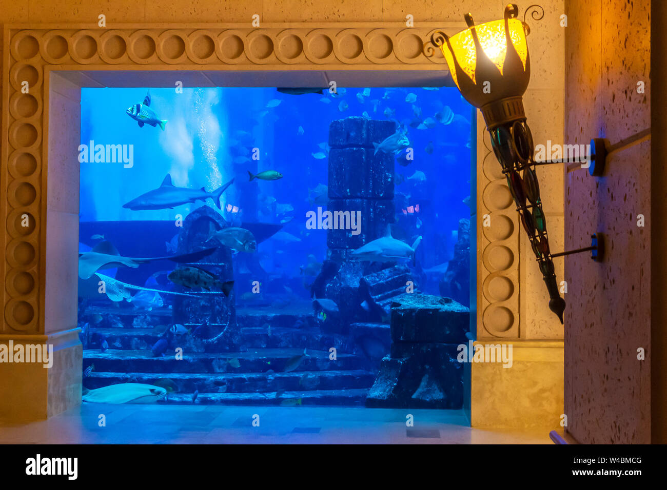 Dubai, UAE - November 29, 2018: Tropical fish inside Lost Chambers ...