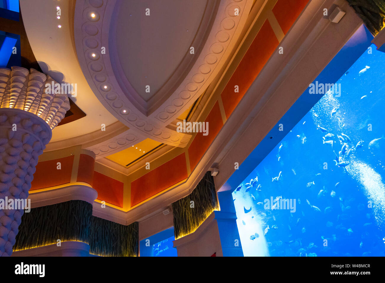 Underwater fish atlantis hi-res stock photography and images - Alamy