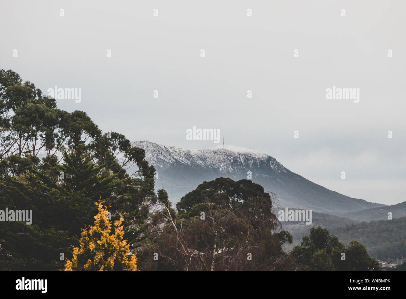 Australian countryside landscape in winter, the bush of Tasmania in the ...