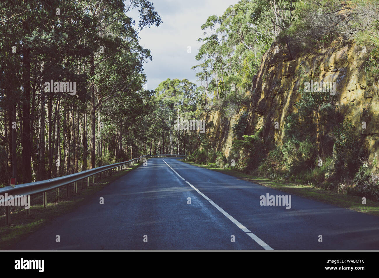 Australian countryside landscape in winter, the bush of Tasmania in the ...