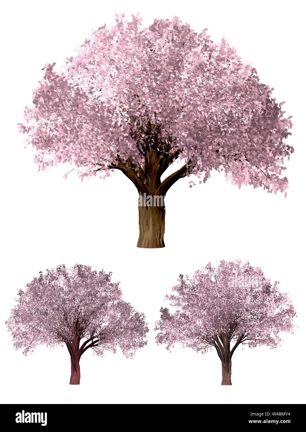 Tropical forest illustration Cut Out Stock Images & Pictures - Alamy