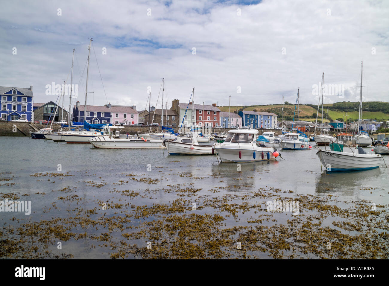 Cardigan wales hi-res stock photography and images - Alamy
