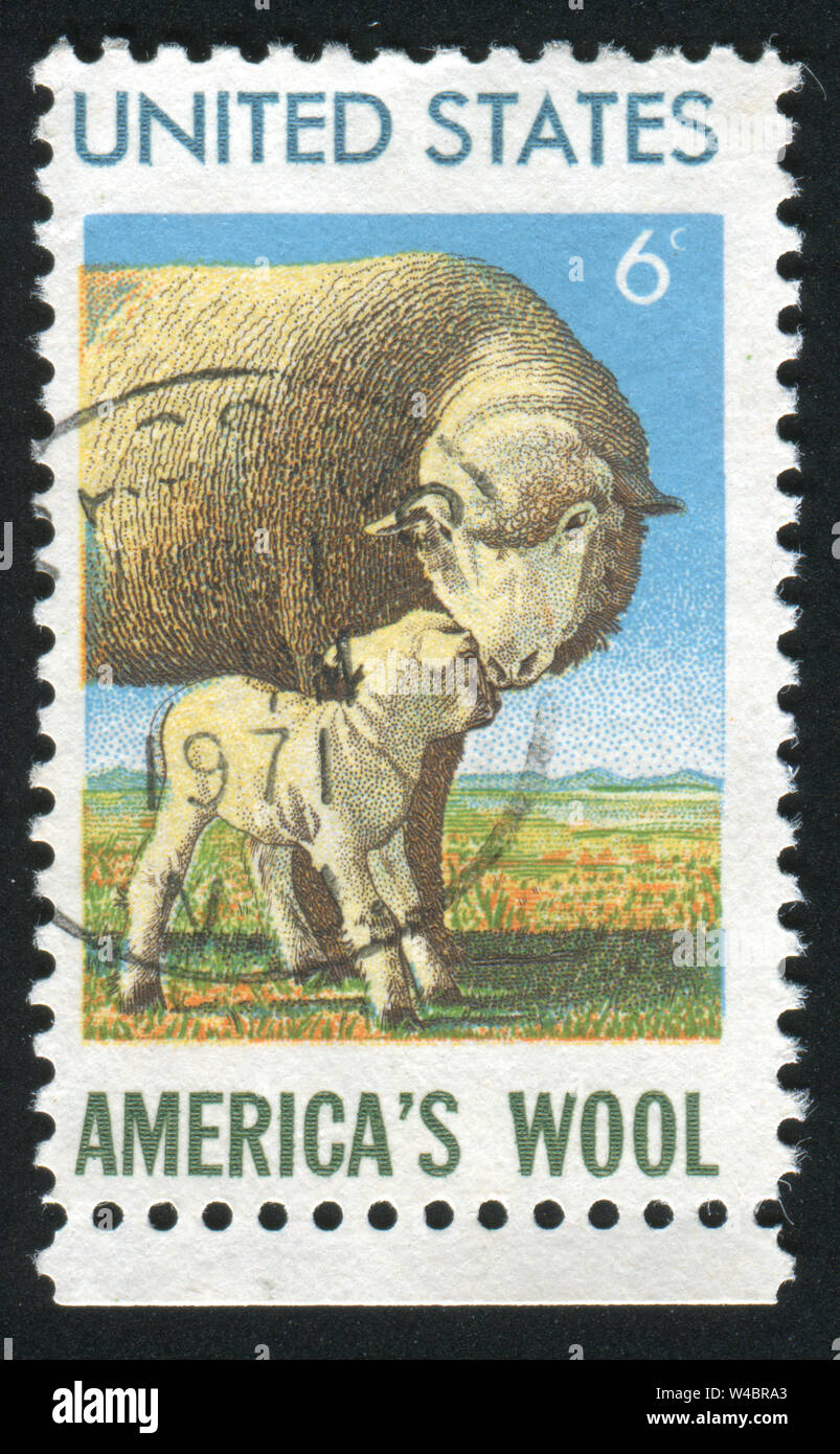 UNITED STATES - CIRCA 1971: stamp printed by United states, shows Ewe ...