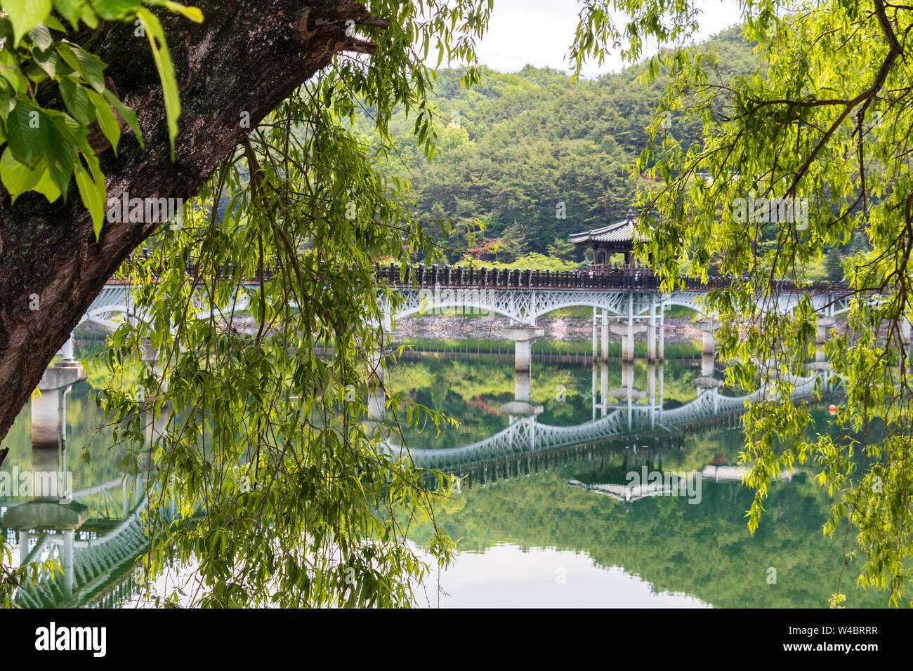 View on Moonlight Bridge, korean Woryeonggyo, and river Nakdong inside ...
