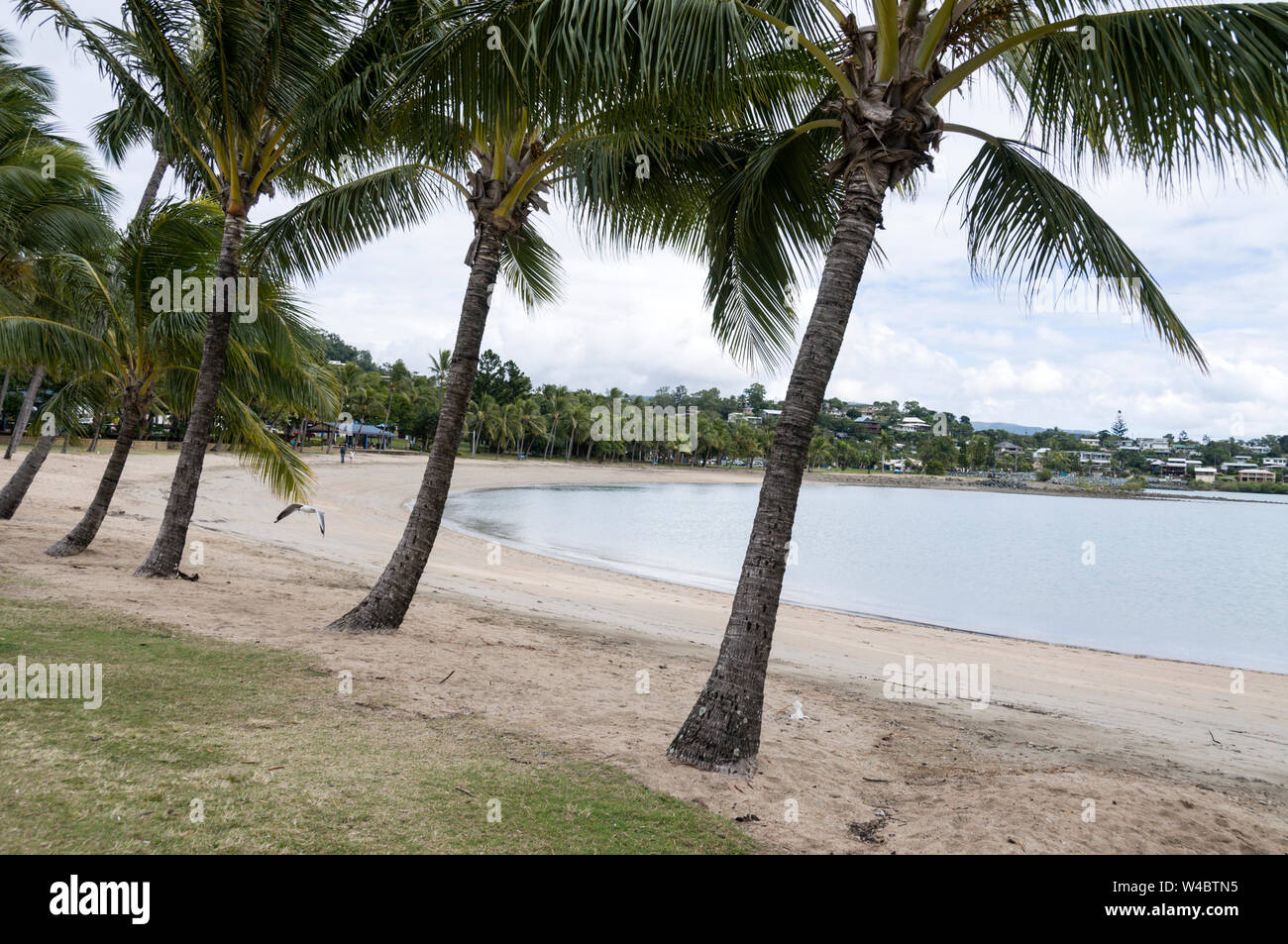 A sandy beach at Airlie Beach in Queensland, Australia Stock Photo - Alamy