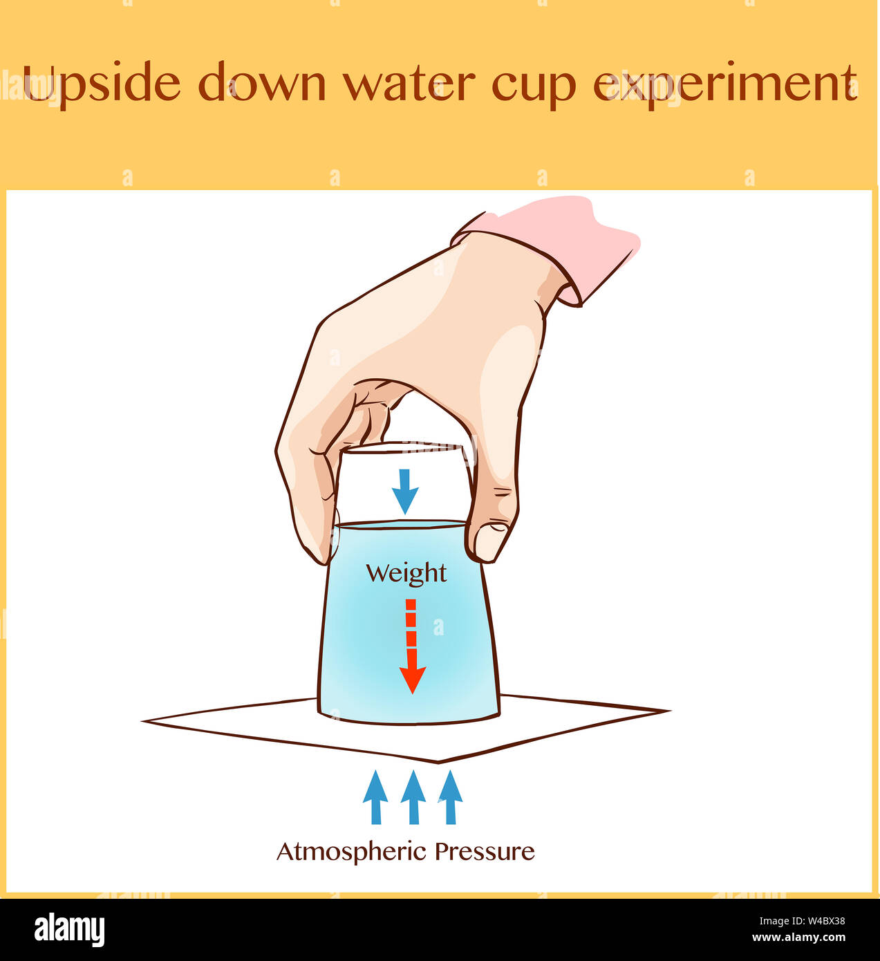 Vector illustration of a upside down water cup experimen Stock Photo ...