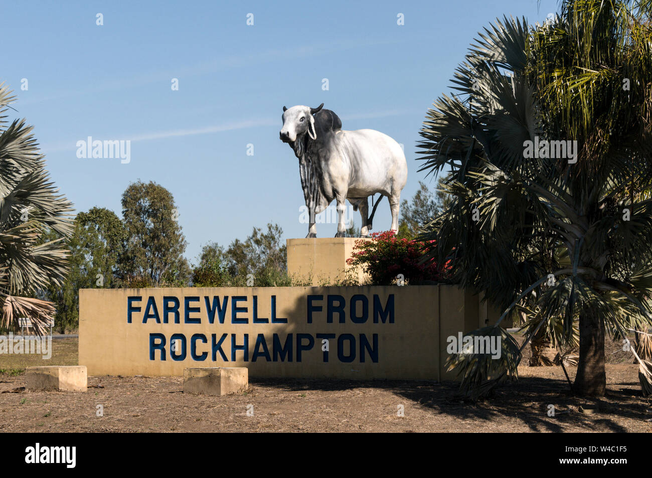 The Brahman Bull monument situated on a roundabout of the Bruce Highway ...