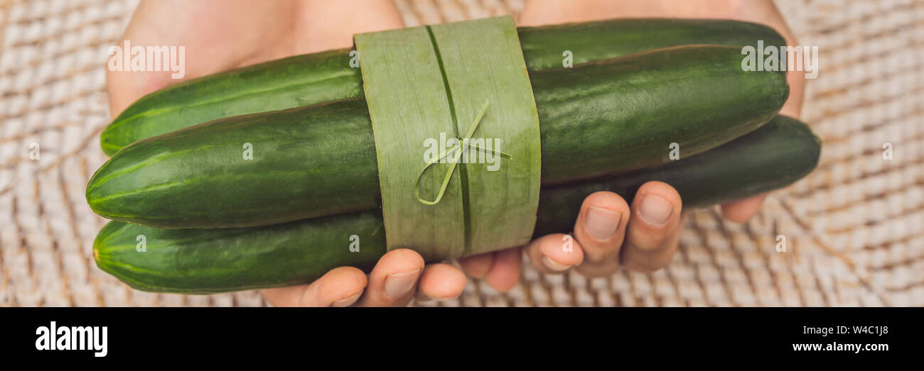 BANNER, LONG FORMAT Eco-friendly product packaging concept. Cucumber ...