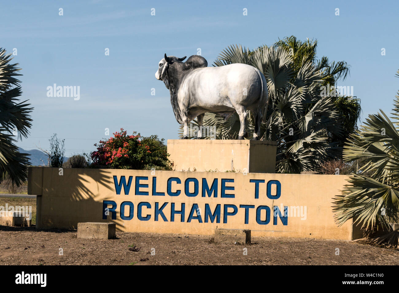 The Brahman Bull monument situated on a roundabout of the Bruce Highway ...